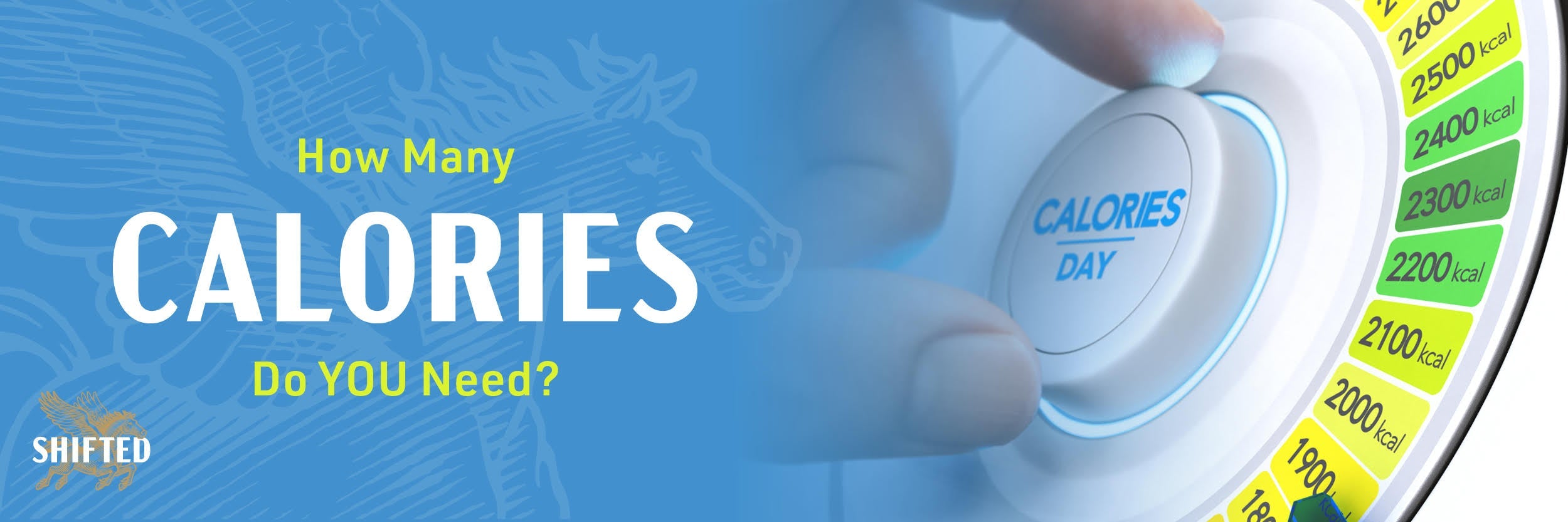 How Many Calories Do You Need Per Day to Lose, Gain or Maintain Weight ...