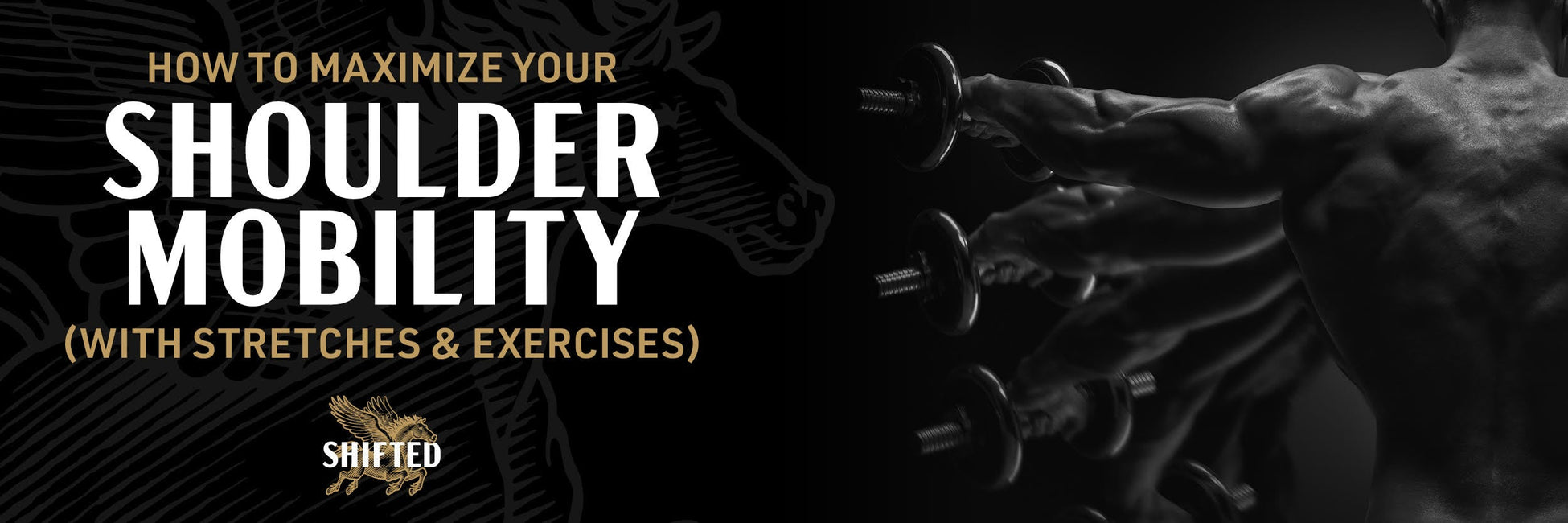 How to Maximize Your Shoulder Mobility (with stretches & exercises ...